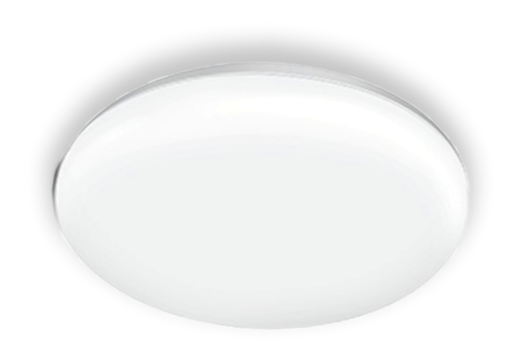 DownLights - Wattera